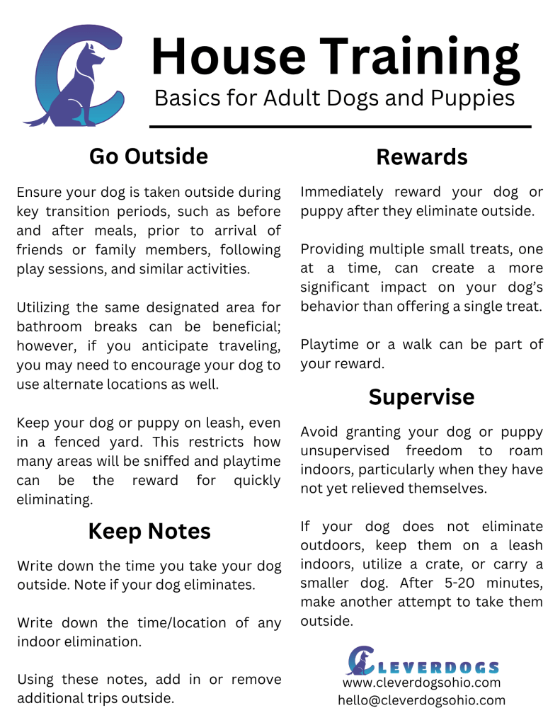 CLEVERDOGS - Expert Obedience Dog Training in Columbus Ohio | Building ...